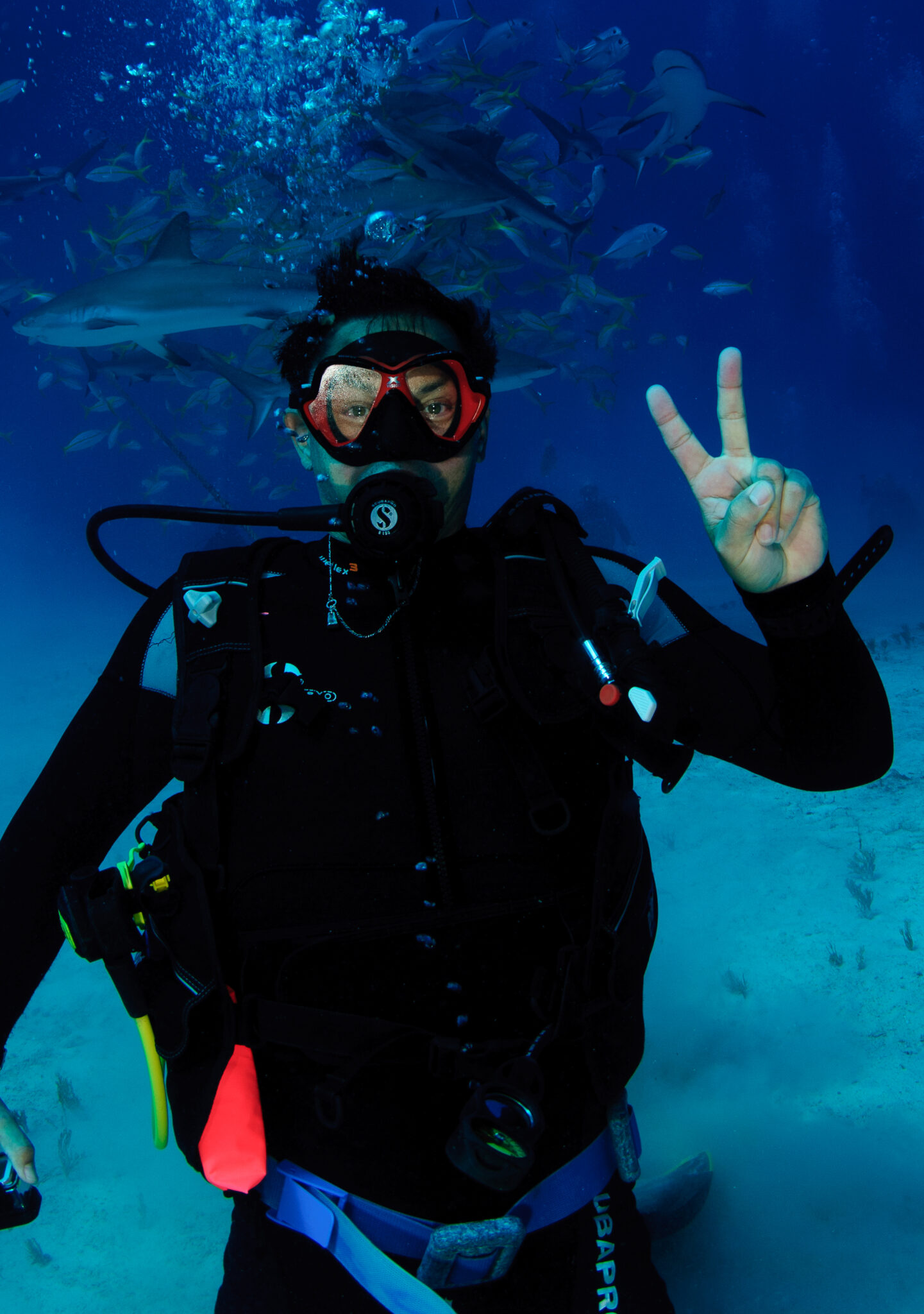 About Mark – Mark Greaney